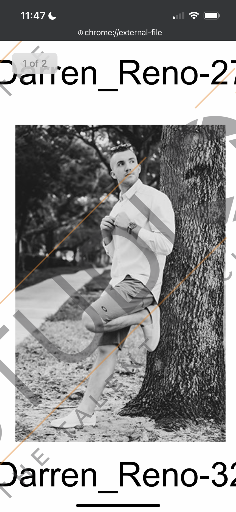 Darren R. | Ace Models