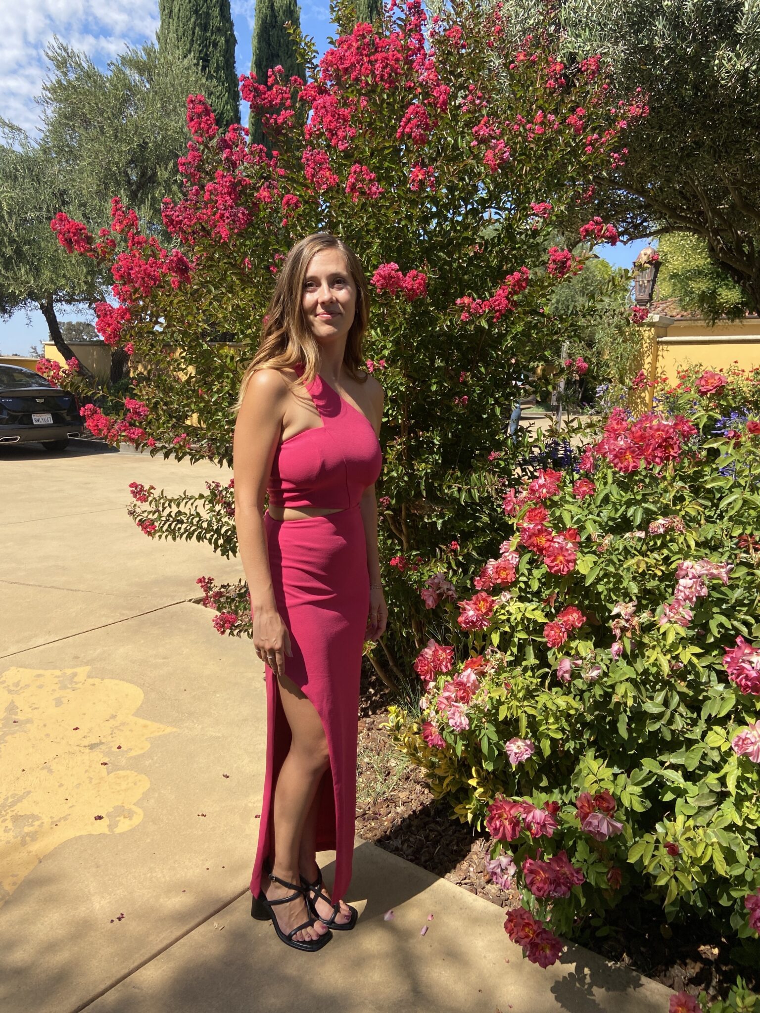 Stephanie V. | Ace Models